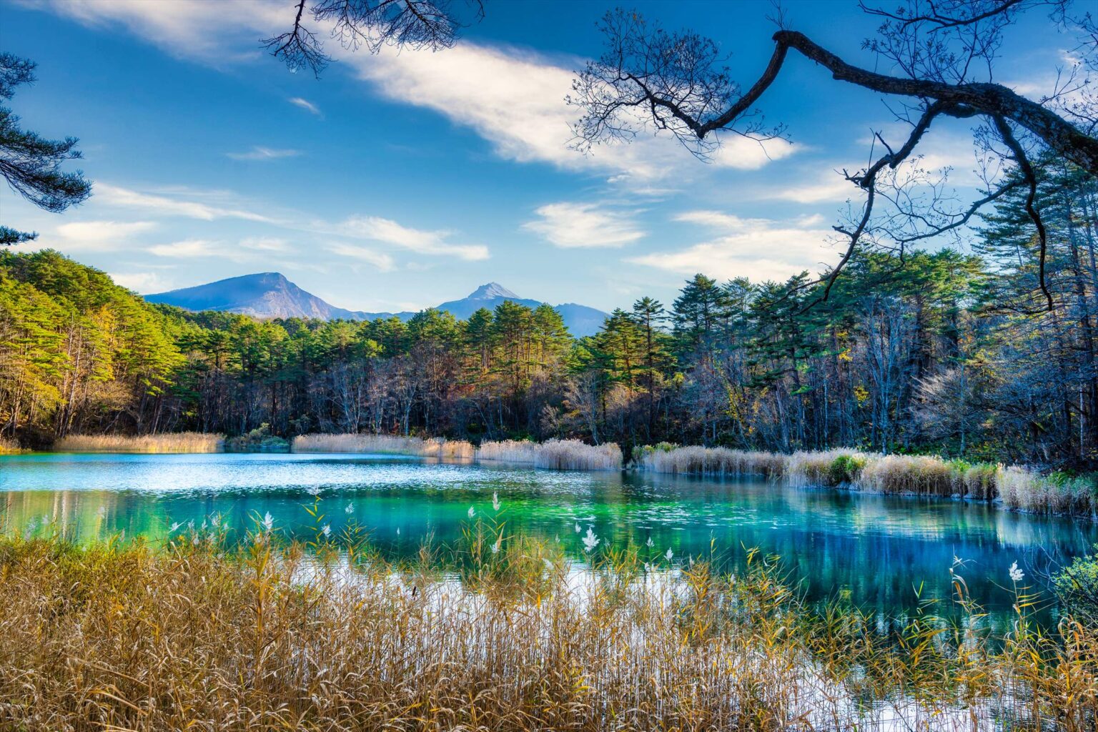 Goshikinuma Ponds Travel Guide: Fukushima’s Stunning Five-Colored Lakes